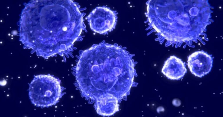 Limfocyty u dorosłego i dziecka. Norma limfocytów • Ratownik Medyczny